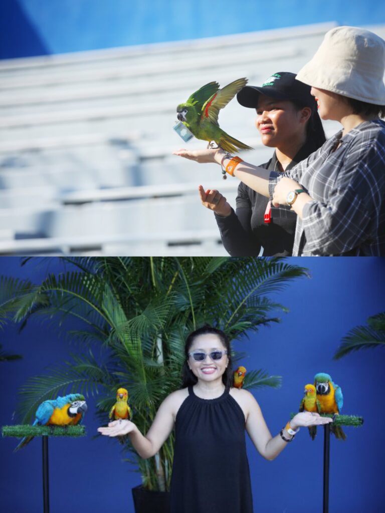 VI VU CHÂU Á, BÙNG NỔ CHUỖI SỰ KIỆN MỪNG QUỐC KHÁNH 2/9 – Asia Park – Công viên Châu Á